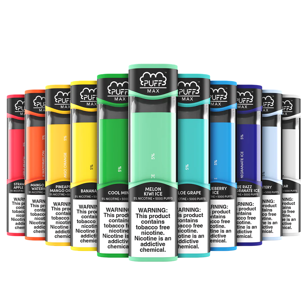 Puff MAX Disposables (5000 Puffs, 5% Nicotine) – SPACE PUFF BAR